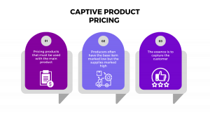 What is Captive Product Pricing? (Definition & Examples) | Glossary