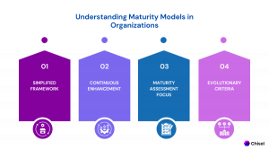 What Is Maturity Model? Definition, Types and Use | Glossary